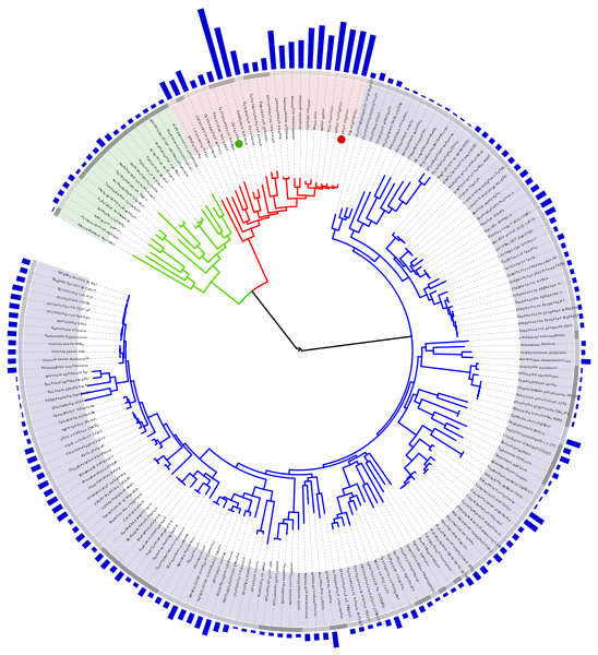 Viruses and the tree of life | Virology Blog