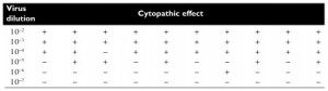 Measurement of viruses by end-point dilution assay | Virology Blog