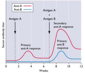 Adaptive immune defenses: Antibodies | Virology Blog