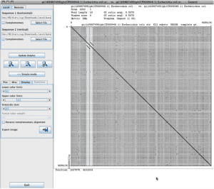 Viral bioinformatics: Dotplot | Virology Blog