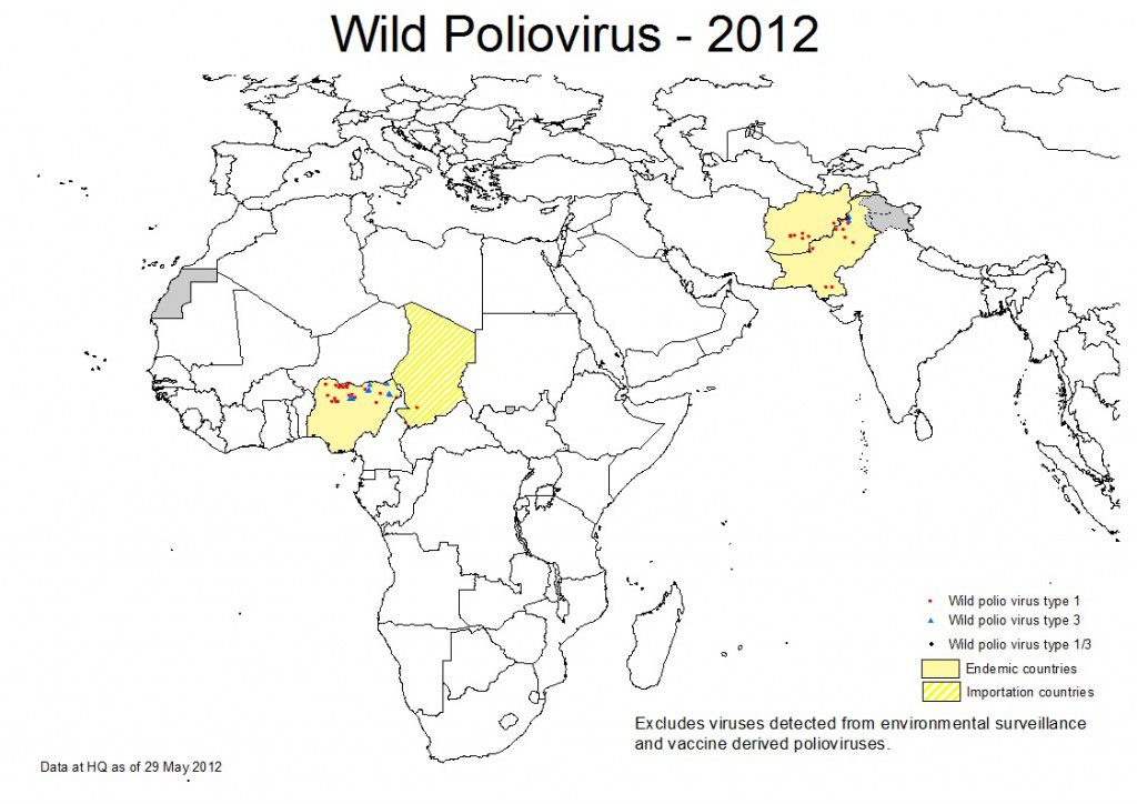 global polio 2012 | Virology Blog
