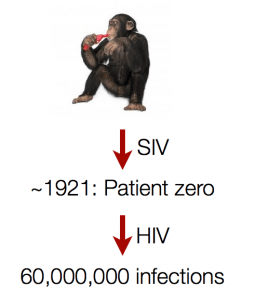 Origin of HIV | Virology Blog