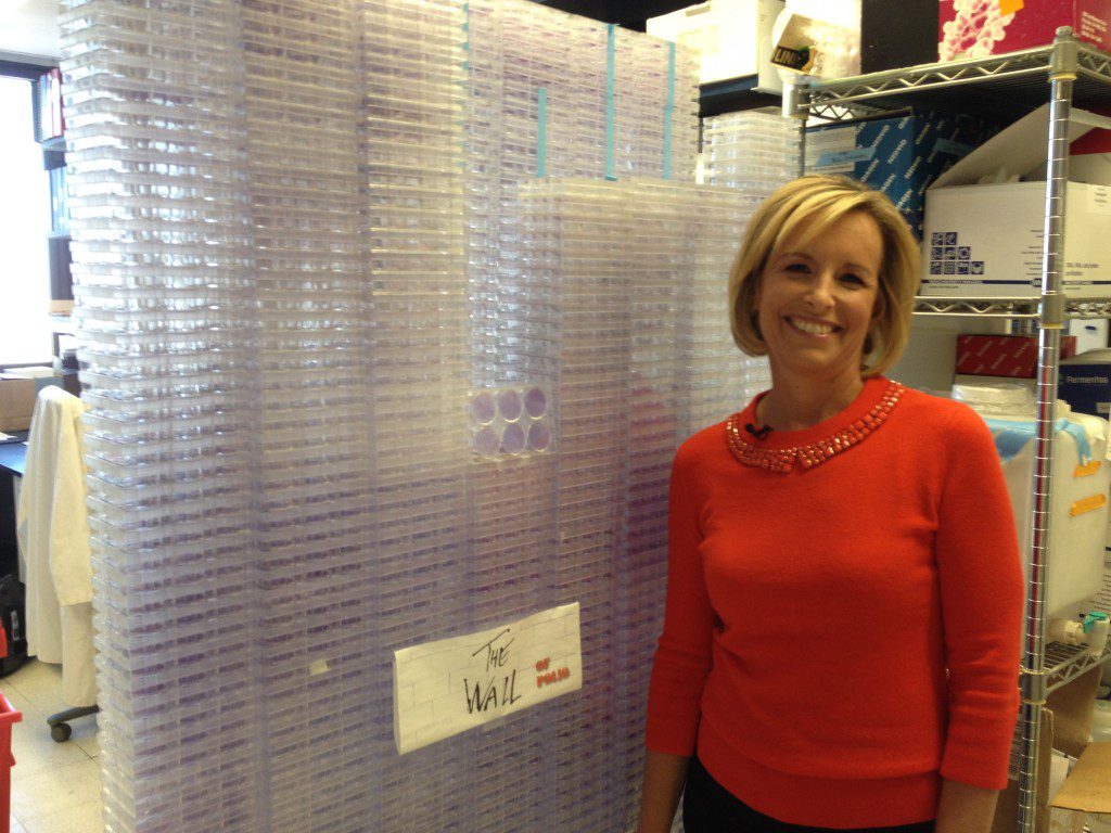 Randi Kaye, CNN | Virology Blog