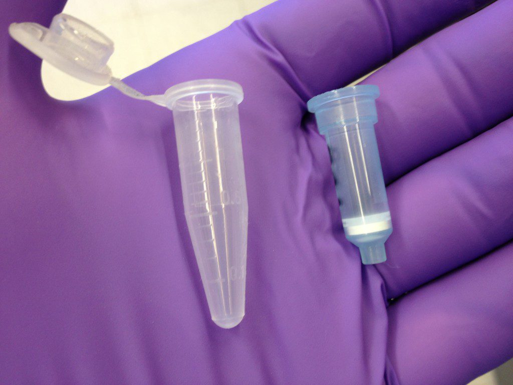 De-discovering pathogens: Viral contamination strikes again | Virology Blog