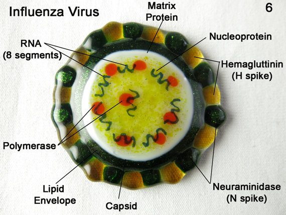 Viral gifts | Virology Blog
