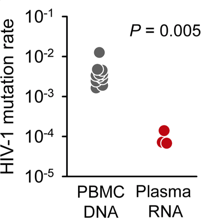 A huge host contribution to virus mutation rates | Virology Blog
