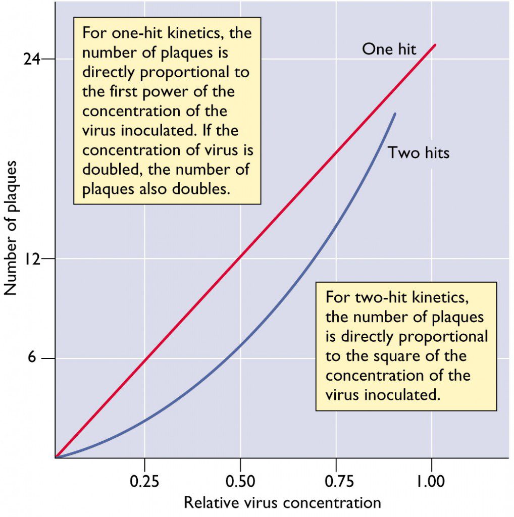 Animal viruses with separately packaged RNA segments | Virology Blog