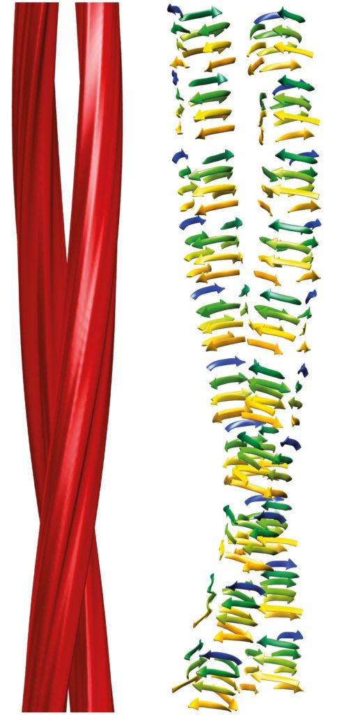 Structure of an infectious prion | Virology Blog