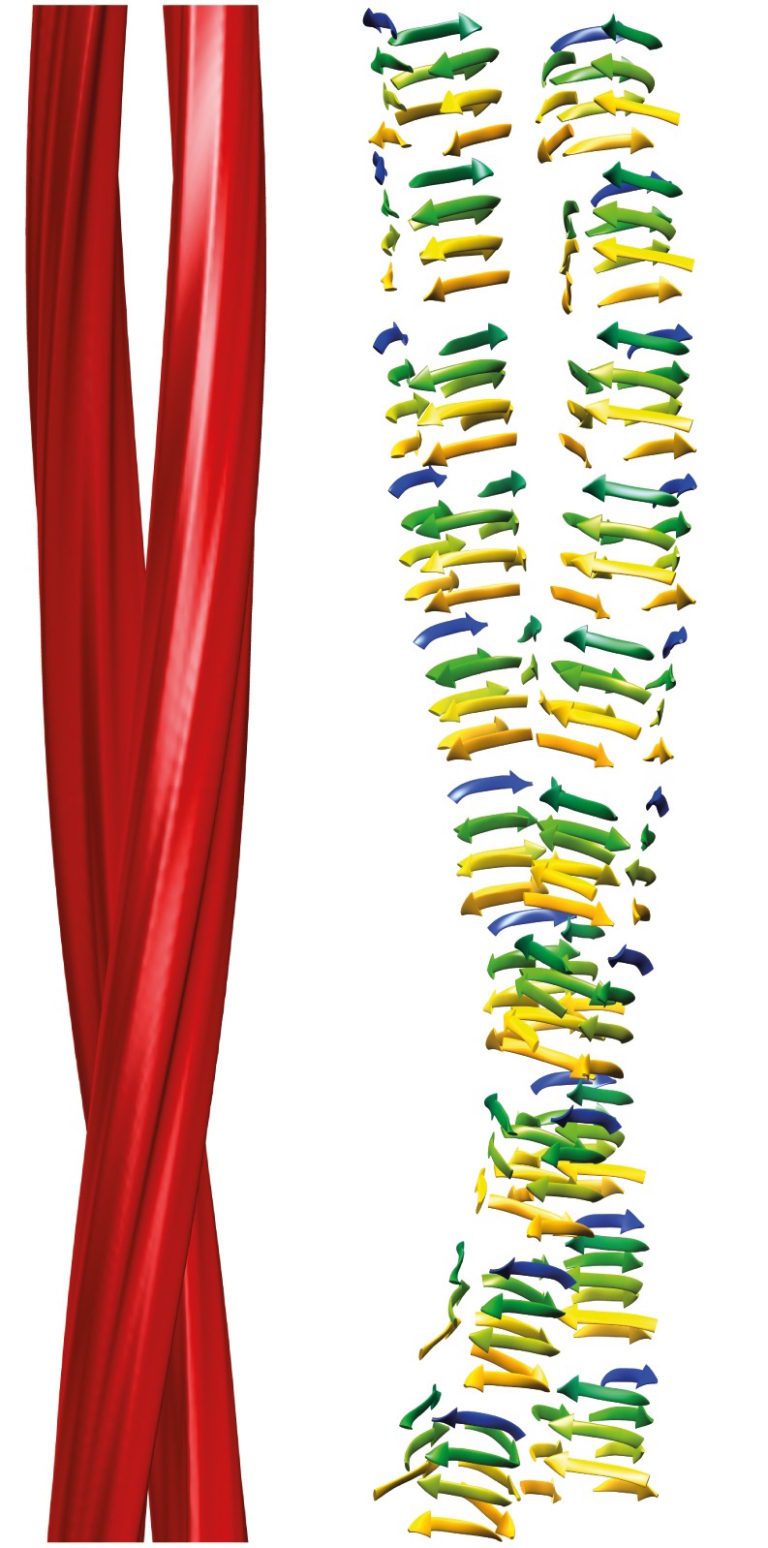 Structure of an infectious prion | Virology Blog