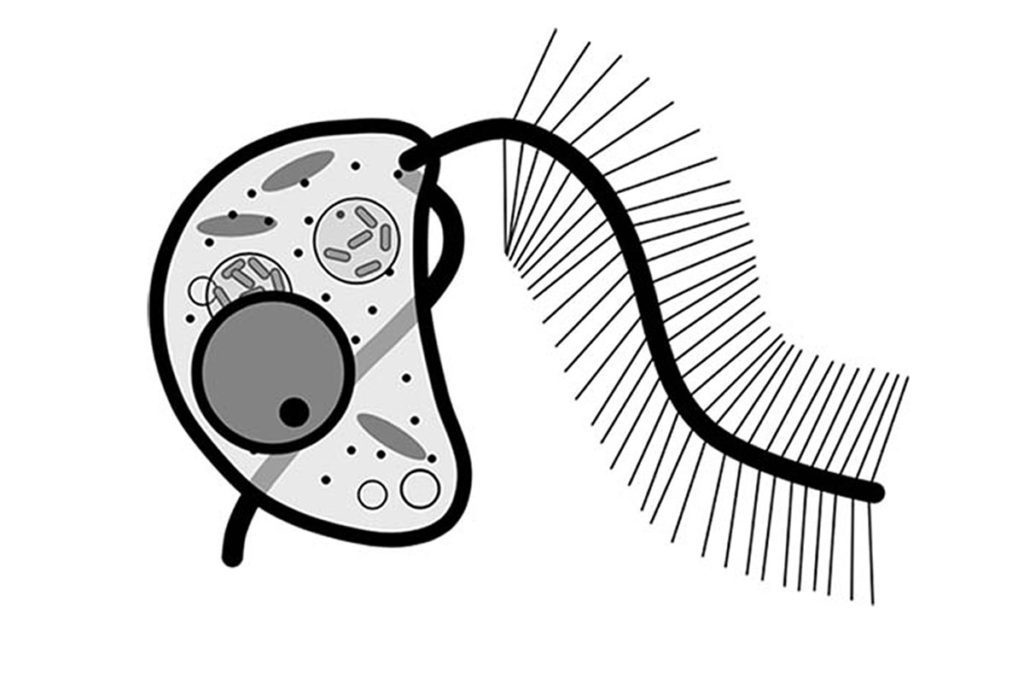 Altruistic viruses | Virology Blog