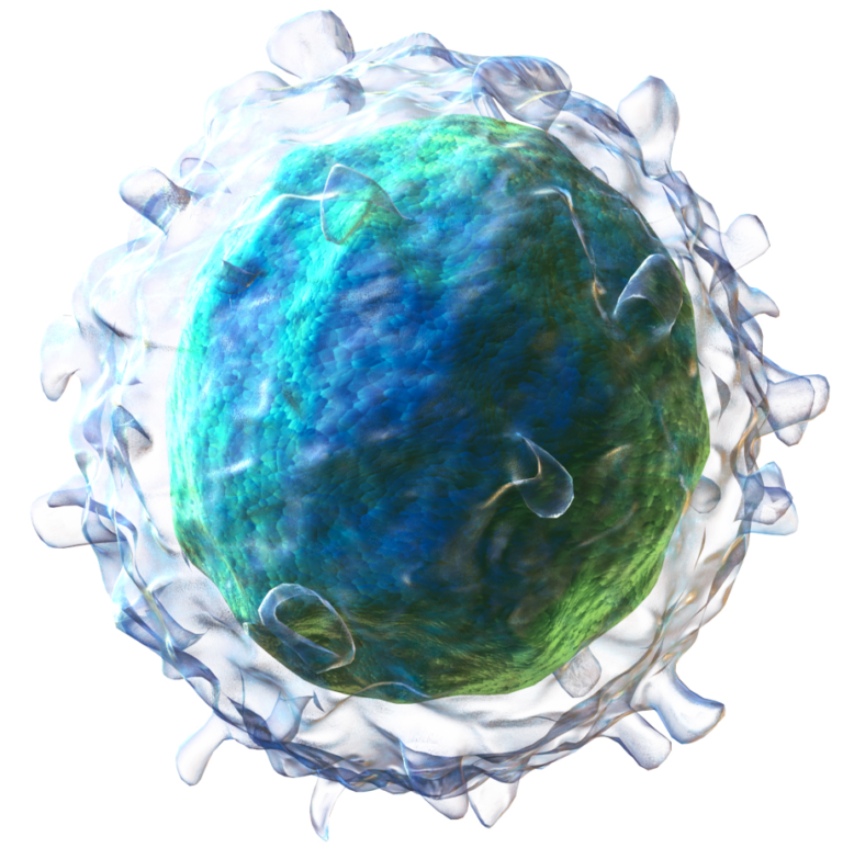 Longevity of SARS-CoV-2 memory B cells | Virology Blog