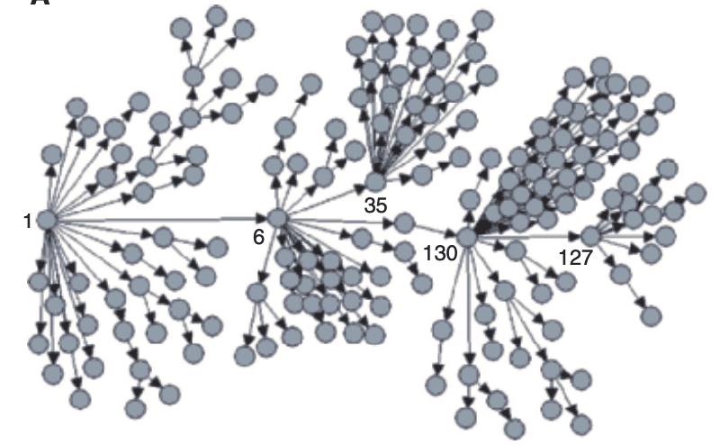 Superspreaders of SARS-CoV-2 | Virology Blog