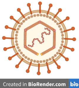 A Viral Risk Factor for Multiple Sclerosis | Virology Blog